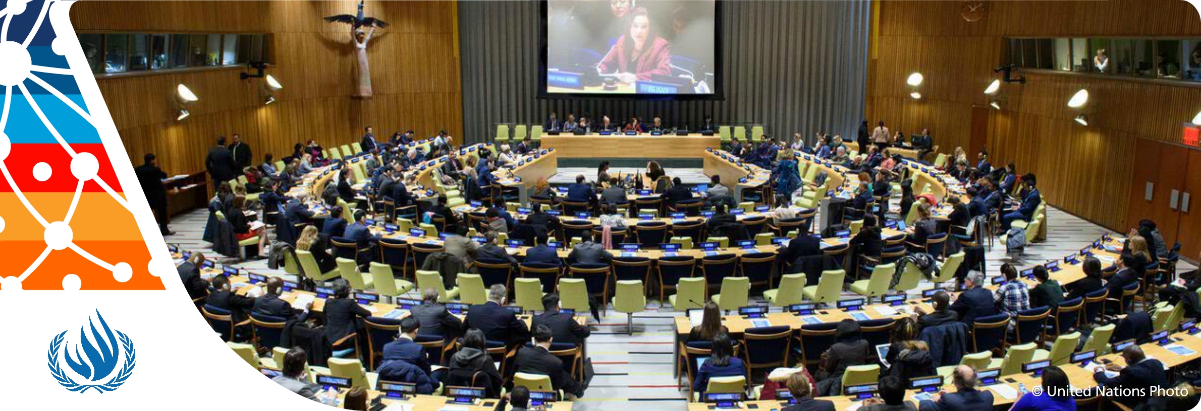 Office of the United Nations High Commissioner for Human Rights (OHCHR)